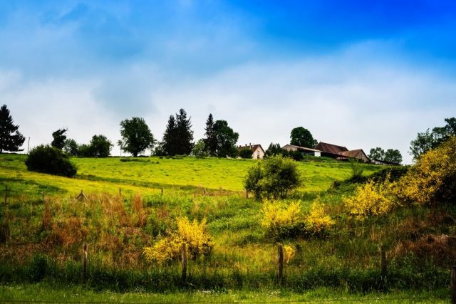 Vie Locale – Le Châtenet-en-Dognon